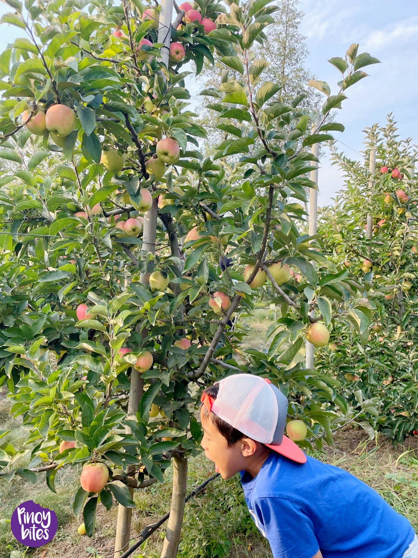 Easy Apple Muffins - PinoyBites